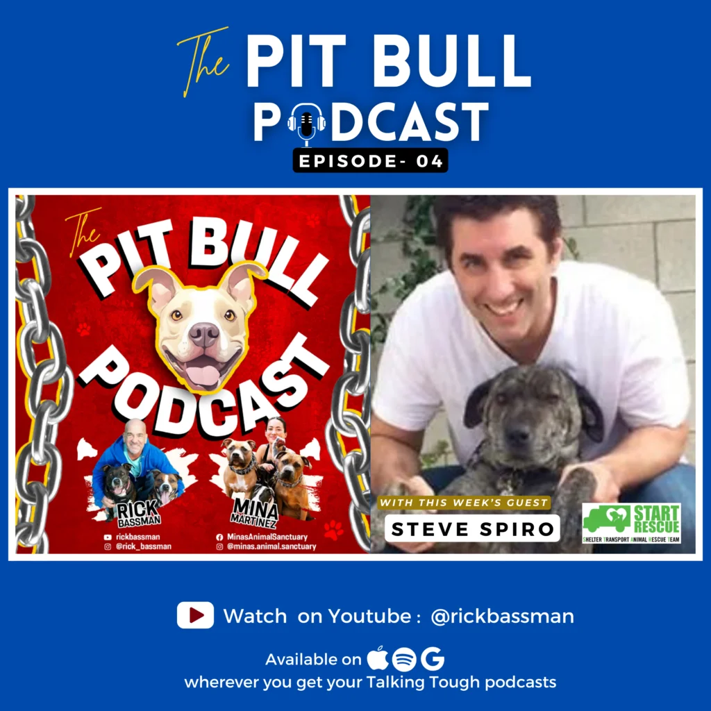 Episode 4 – with Steve Spiro, START Rescue & The Pit Bull Podcast – The ...